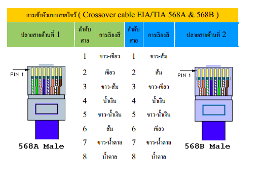 RJ45 Network : การเข้าหัว RJ45