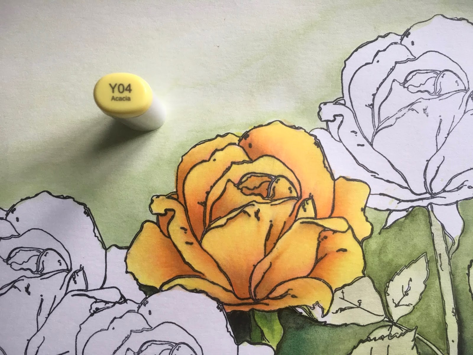 Copic Marker Europe: Colouring Roses