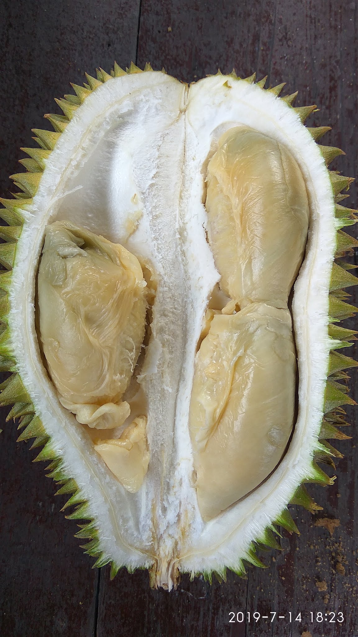 Durian Tiga Rasa - Manis, Lemak & Pahit!