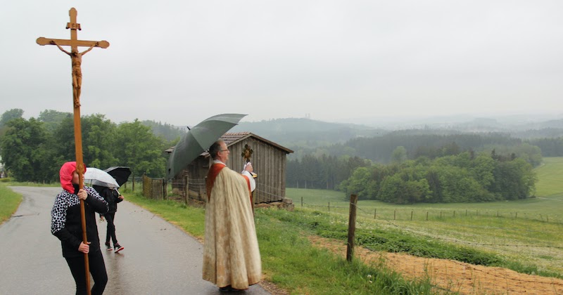 Das waren die Flurumgänge – 1. Woche (Steigberg, Eigenzell, Rindelbach ...