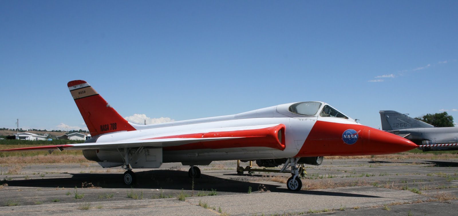 Some Cold War Birds – Stephen Bodio