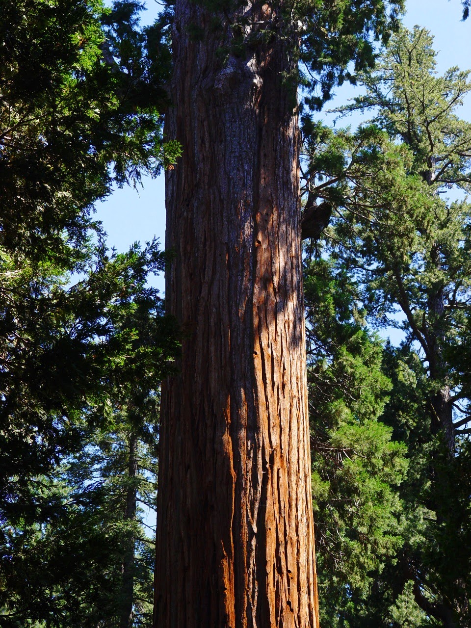 Geotripper: Happy Holidays from the Geotripper Gang.