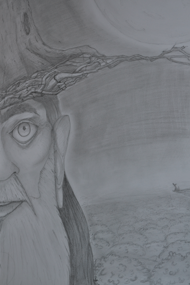 SMile Illustration: L'ERMITE