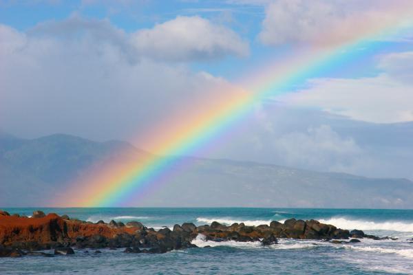 Tikilife: Hawaii- The Rainbow State