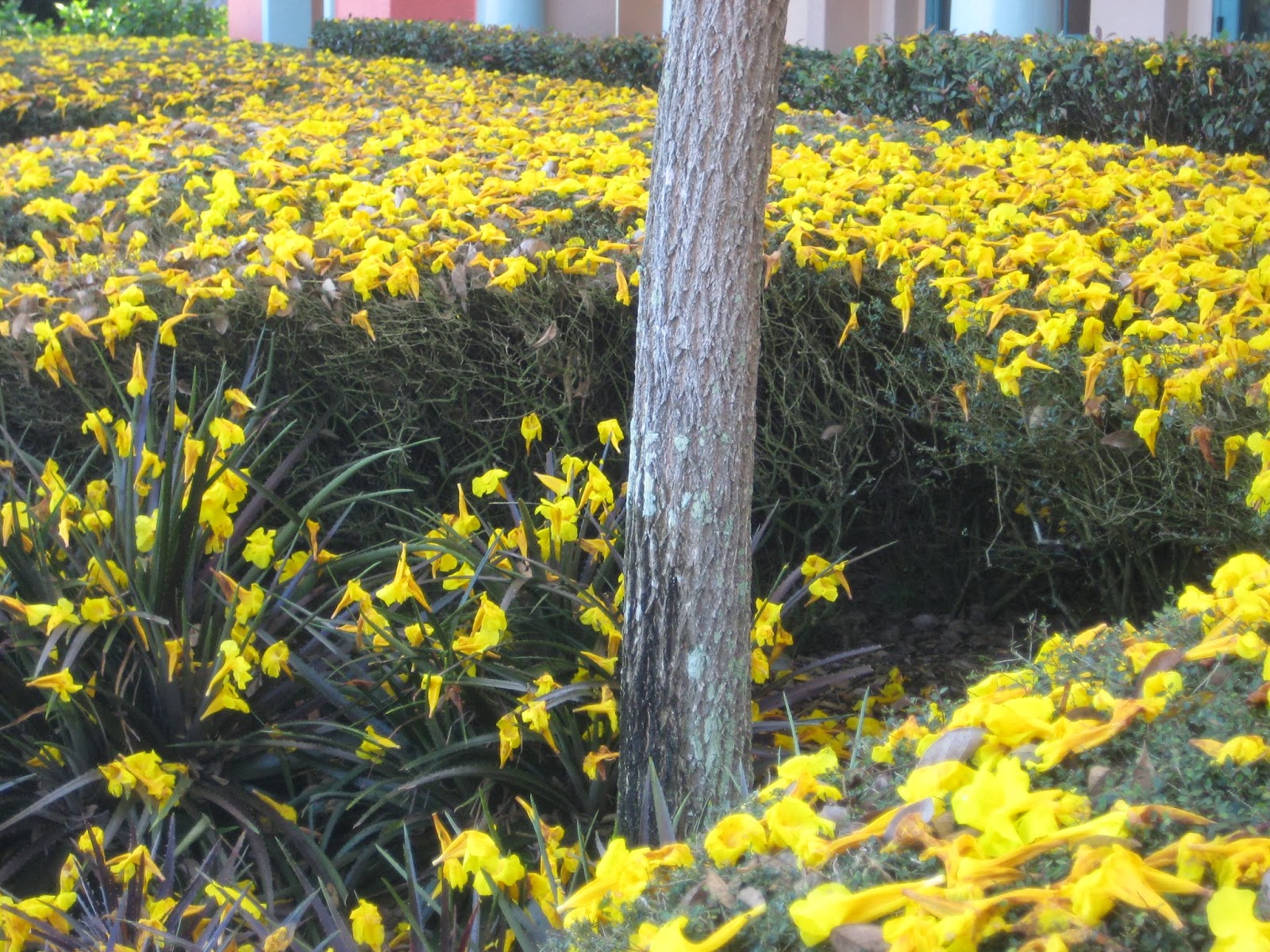 Walk In The Park: February 2014