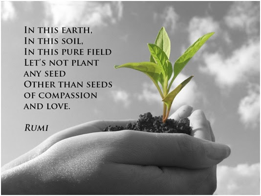 The Education Corner : February 2016