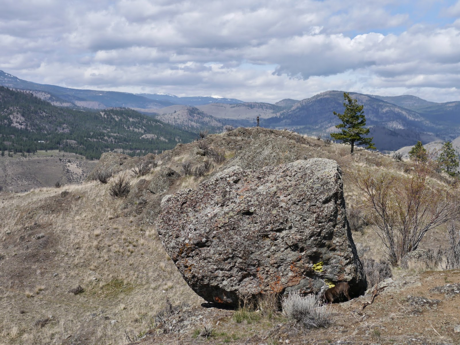 Hiking Peach Cliff - Backwoods Mama
