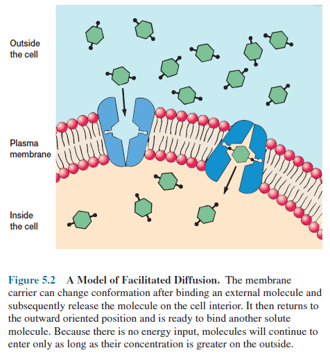 Microbiology Notes: Microbial Nutrition