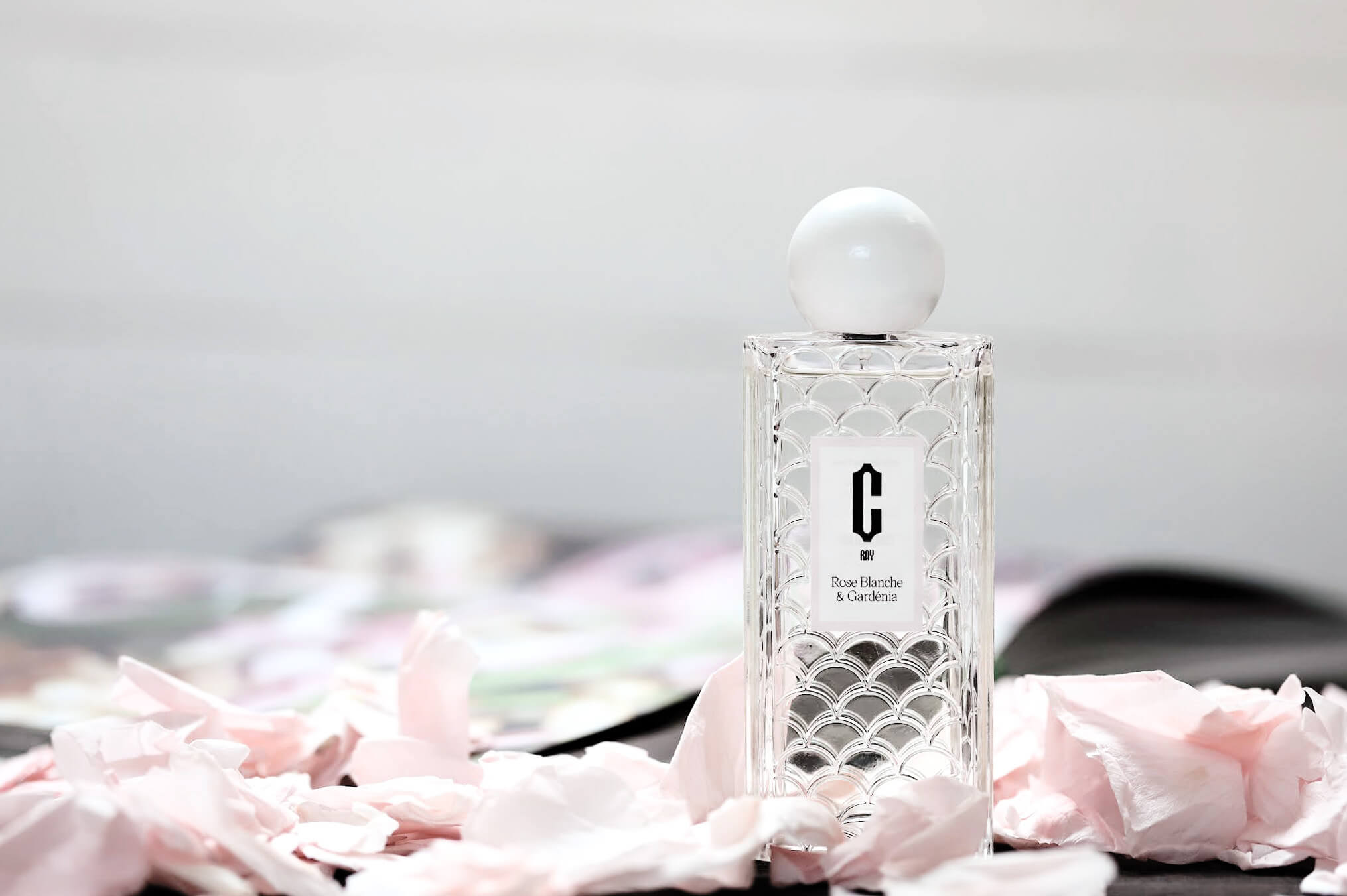 Carlotha Ray : Un Parfum d'Eco Luxe Durable ? | kleo beauté