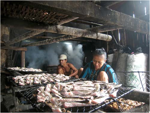 PENGASAPAN IKAN – Jati.id