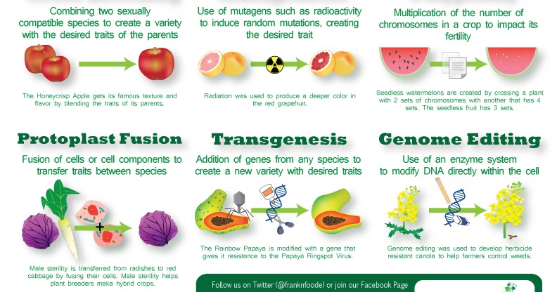 AMP'd Up: Genetically Tailored Plants - The Non GMO