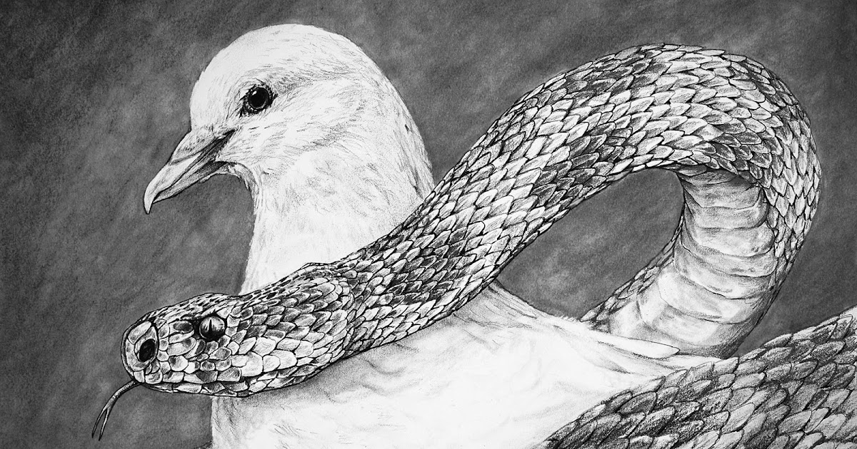 14er Art : Drawing - "Serpent and Dove"