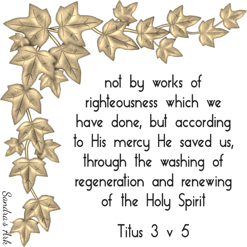 Sandra's Ark: Reading Through The Bible - TITUS