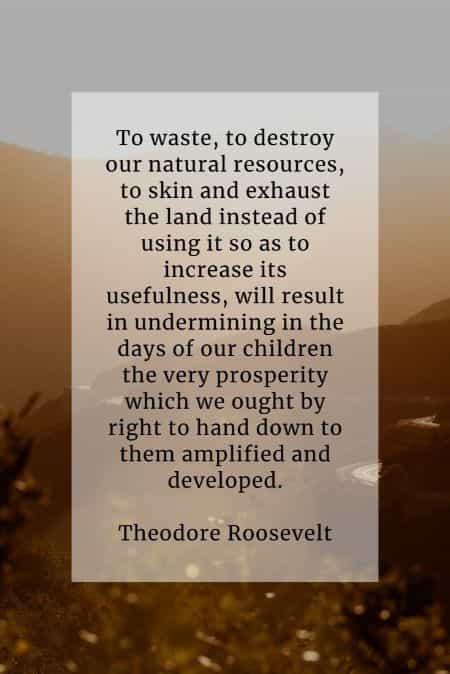 35 Environment quotes that'll influence protecting the earth