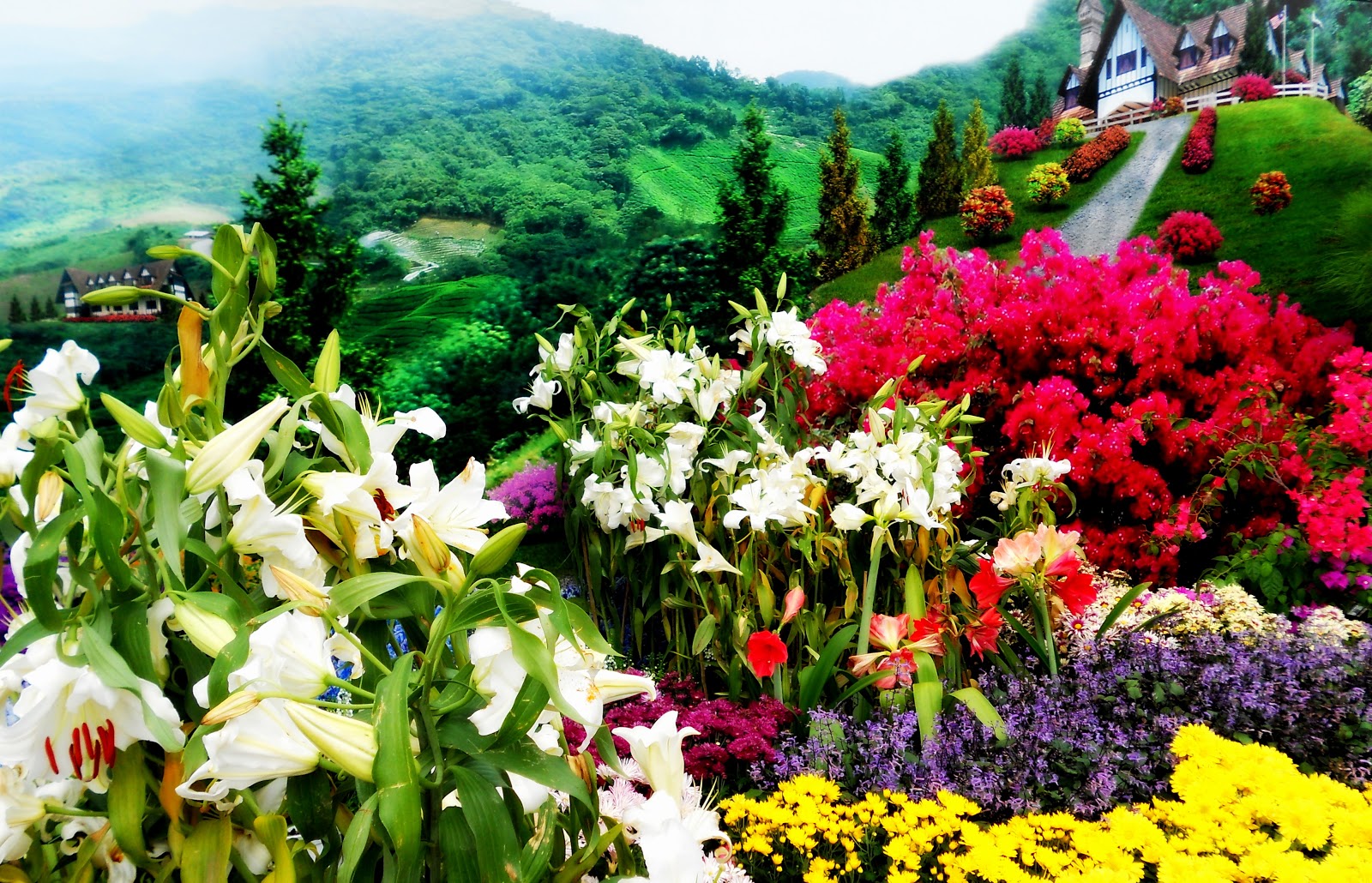 Pesta Bunga Floria Putrajaya 2012 - Relaks Minda