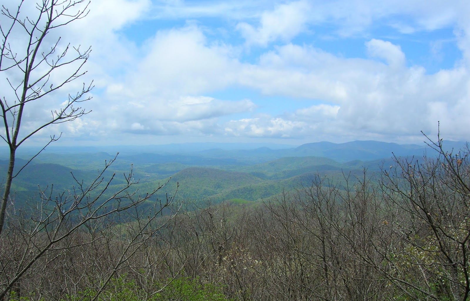 My Morning Cup: Virtual Appalachian Trail: Springer Mountain, Georgia ...