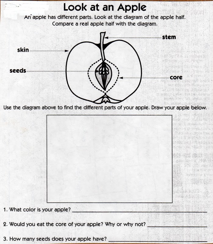ELEMENTARY SCHOOL ENRICHMENT ACTIVITIES: JOHNNY APPLESEED APPLE INSPECTION