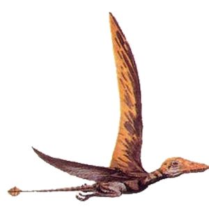 Reptossaurus: SCAPHOGNATUS