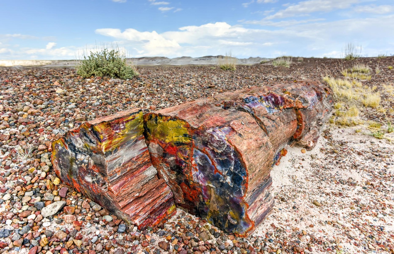 Petrified Forest National Park (with Map & Photos)