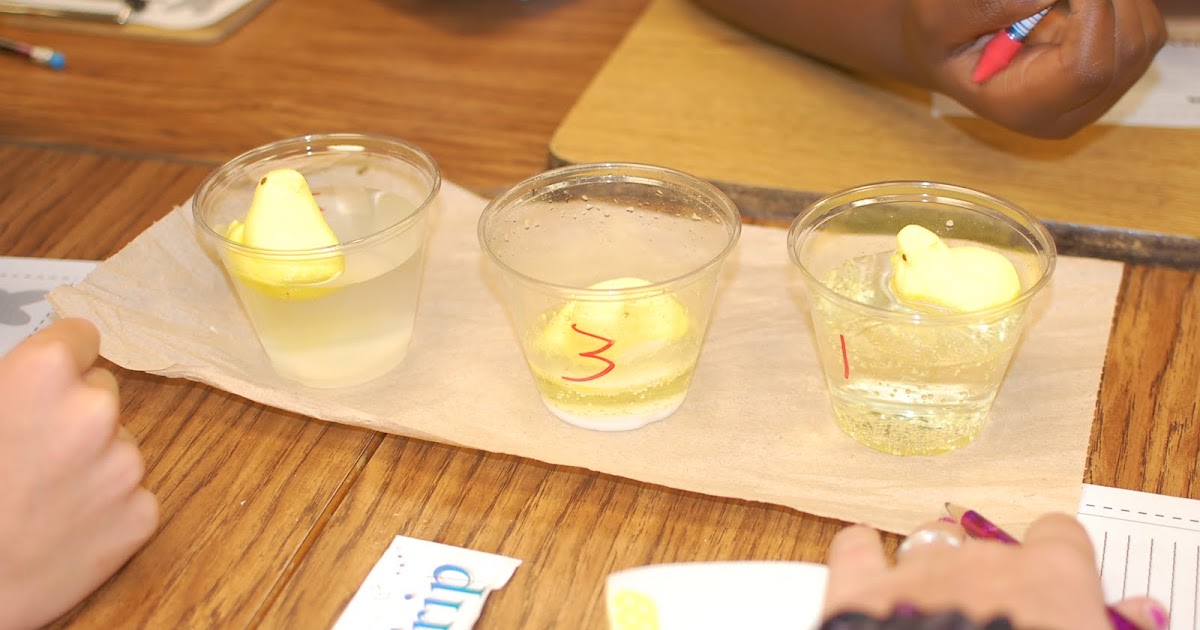 Science with my Peeps - Simply Sprout