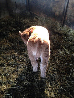 RCC Blog: From Stan Soehnlen oh