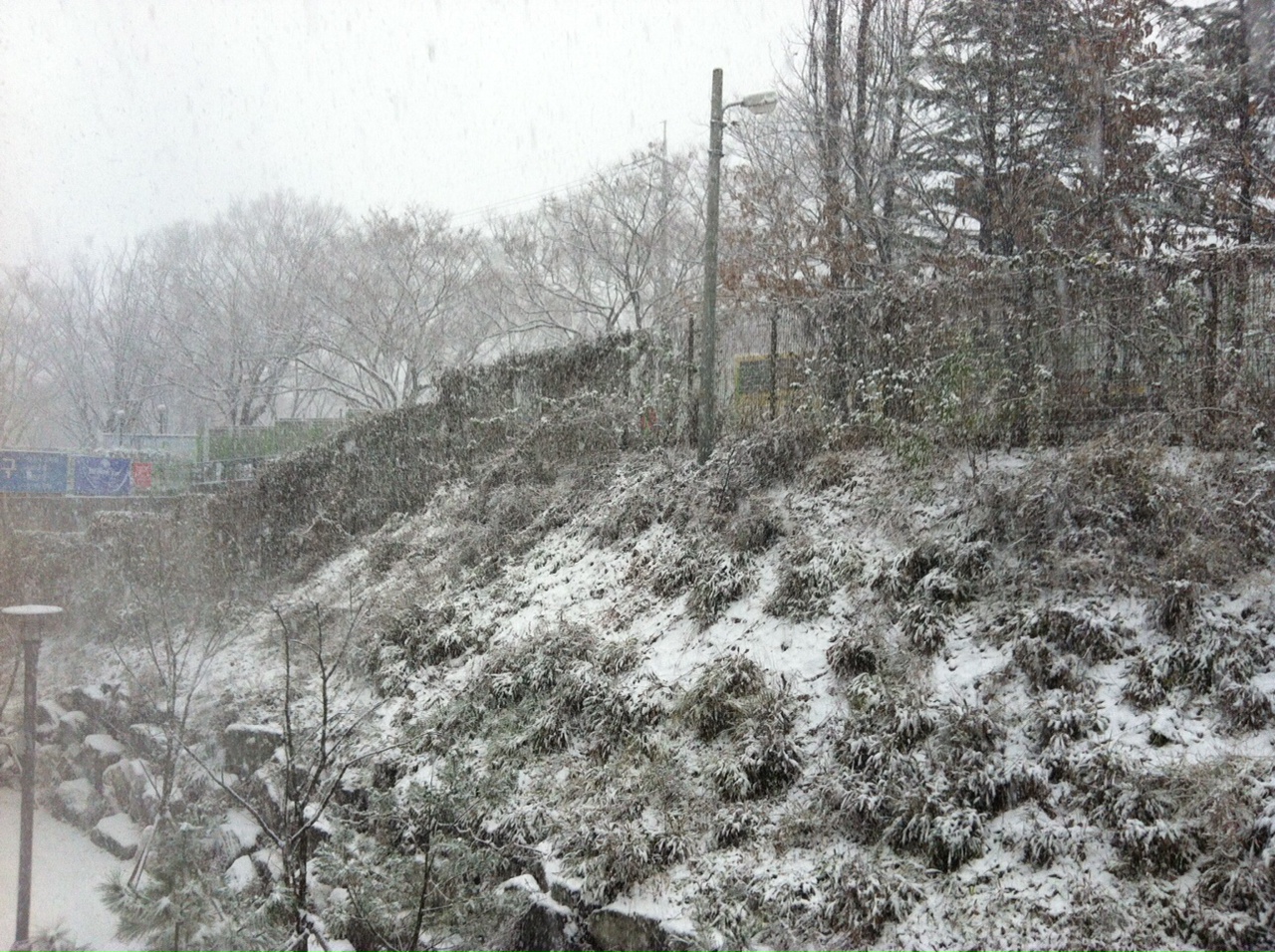 Doublecross in Daegu: Winter in Daegu