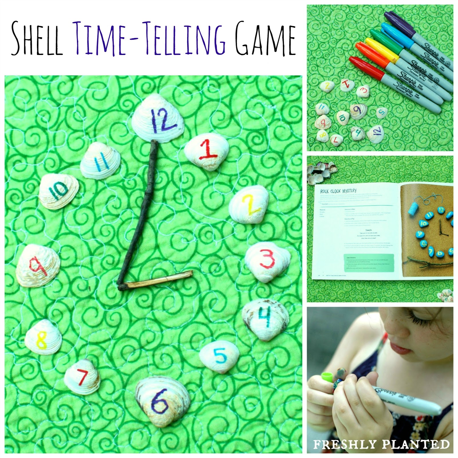 Time-Telling Shell Game for Kids - FreshlyPlanted