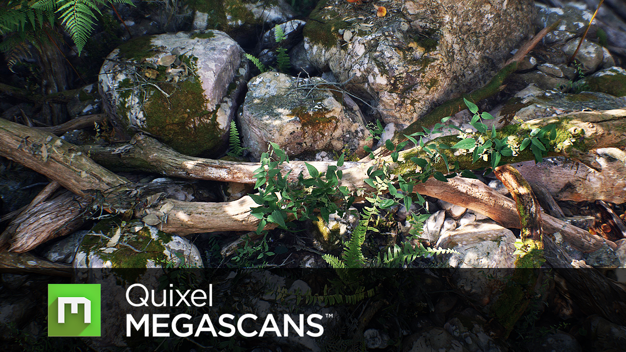 Quixel Megascans 2016 Collection | Computer Graphics Daily News
