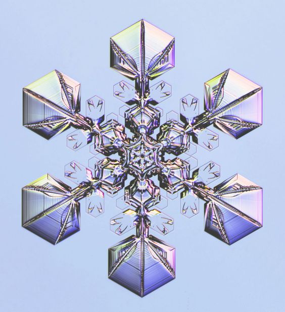 Heraldry of Life: ART with REAL SNOWFLAKES