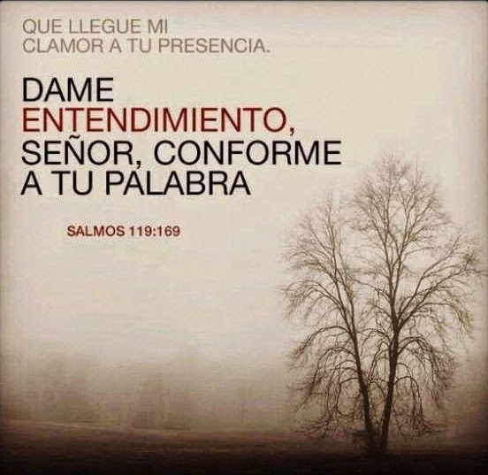 El Blog de Julio César Barreto: La Importancia del Entendimiento (AELR)