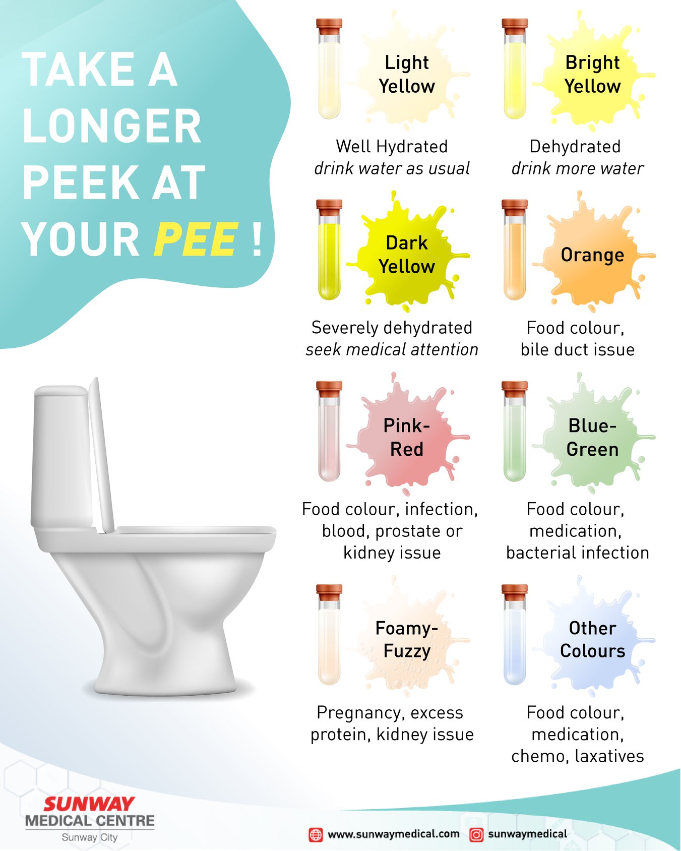 National Cancer Society of Malaysia, Penang Branch: What Is Your Urine ...