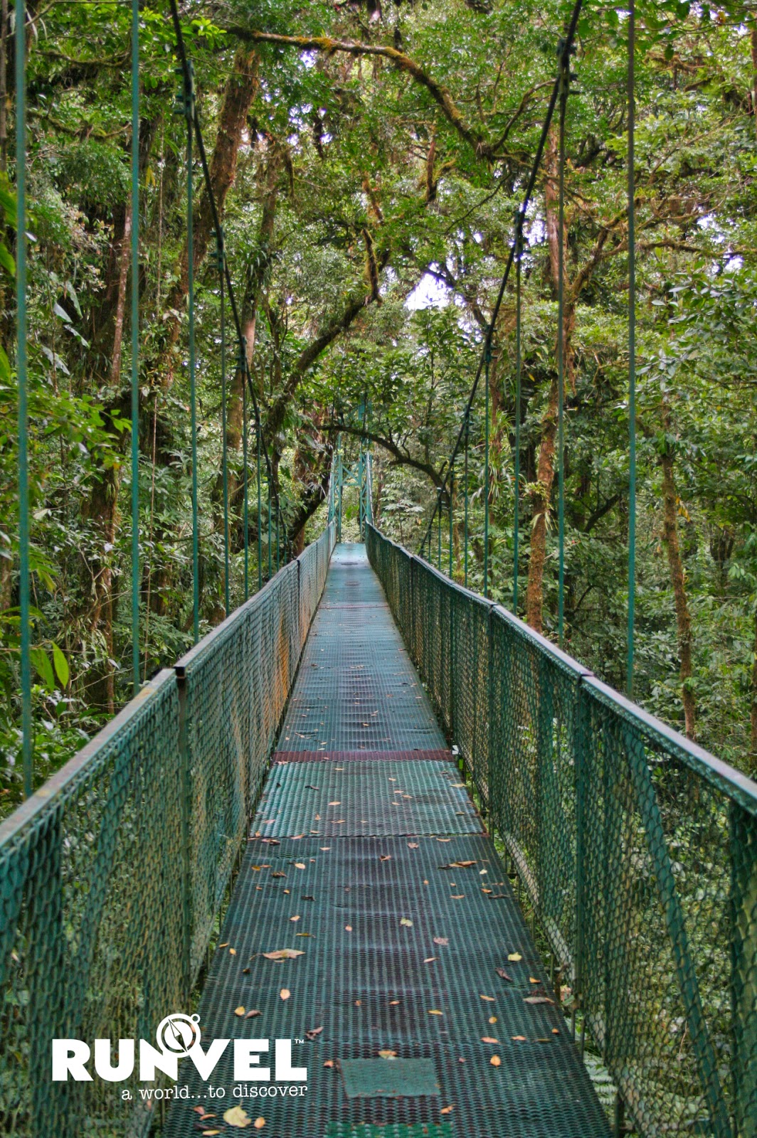 RUNVEL: ΣΤΟ CLOUD FOREST ΤΟΥ MONTEVERDE, ΚΟΣΤΑ ΡΙΚΑ.