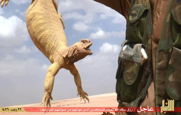 Asian Defence News: ISIS holding a spiny tailed lizard (desert lizard ...