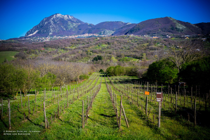 Ciak Irpinia 2019: Why Irpinia is the Next Wine Region to Discover in ...
