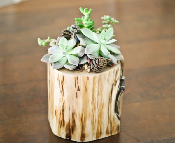 Tree Trunk Flower Pot Design - Creative Decorating Ideas Can Be Crafted ...