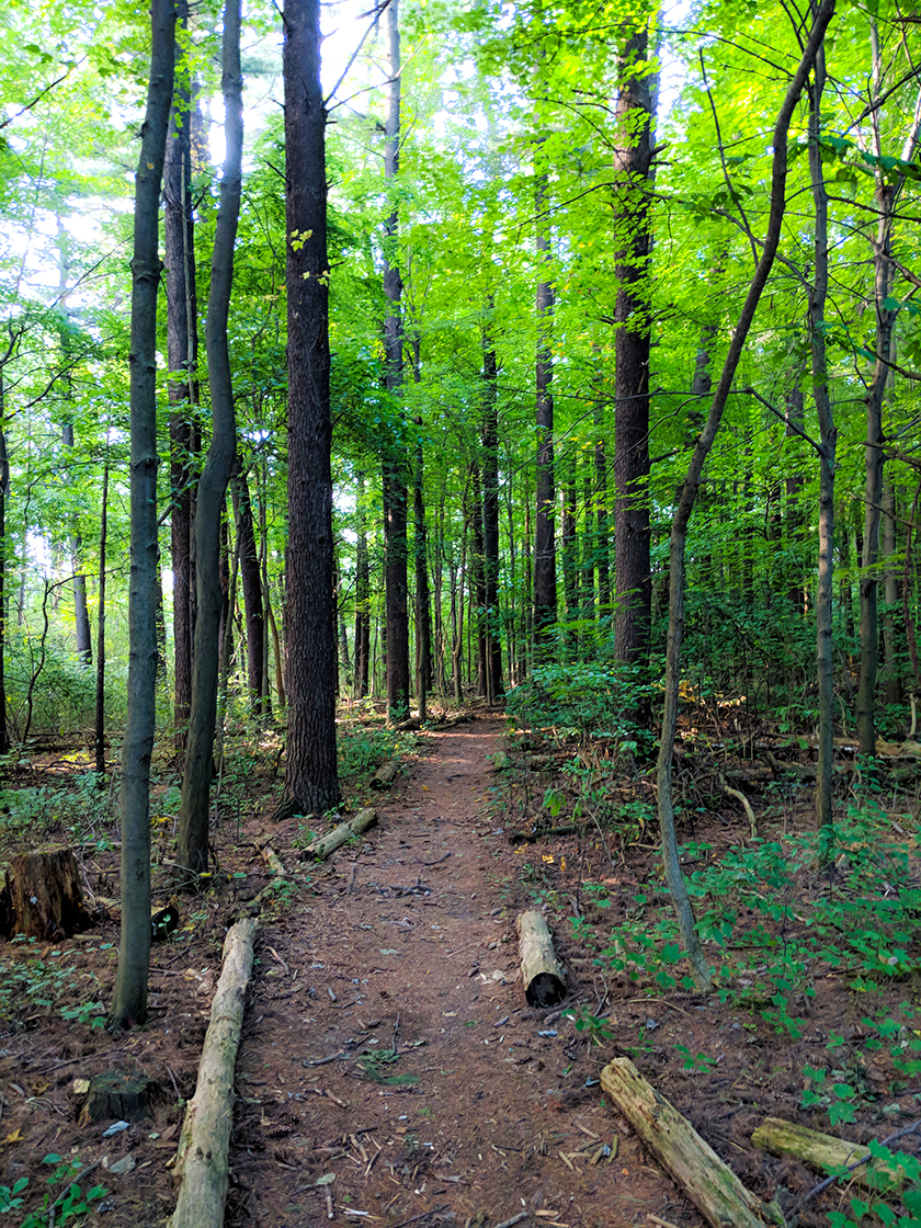 UW Arboretum Hiking Trails