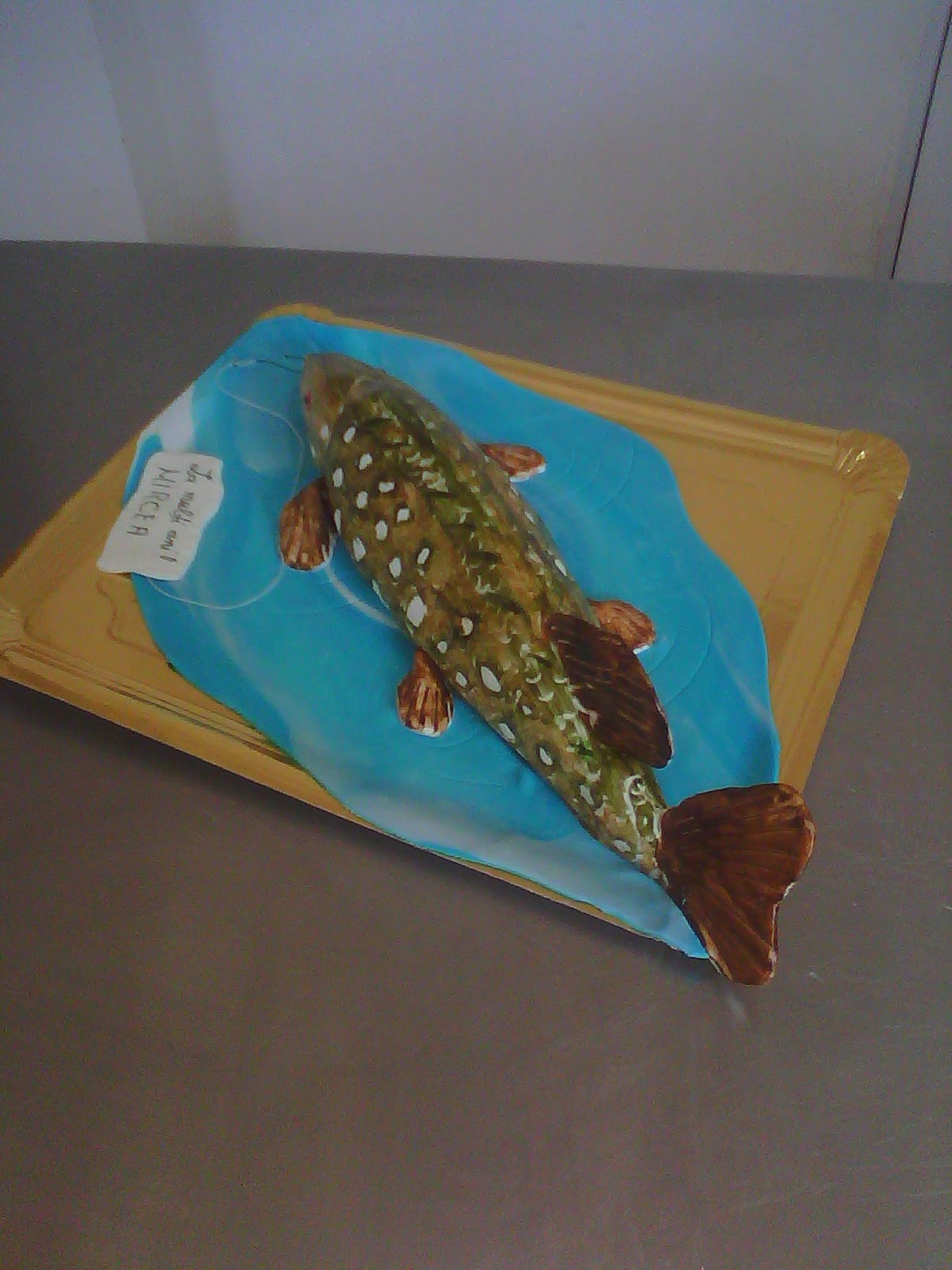 Stanciu Florin: Tort peste