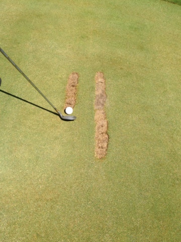LGCC Golf Maintenance: Driving Range Divots - Linear Pattern