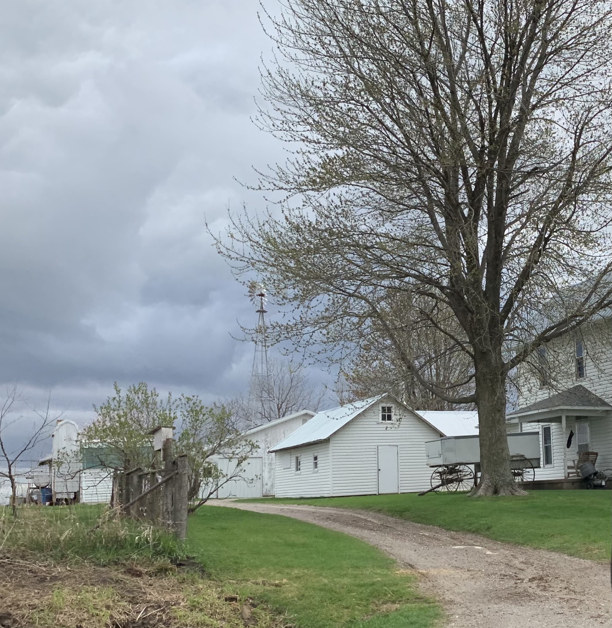 Amish Horses: Early Spring Amish Style