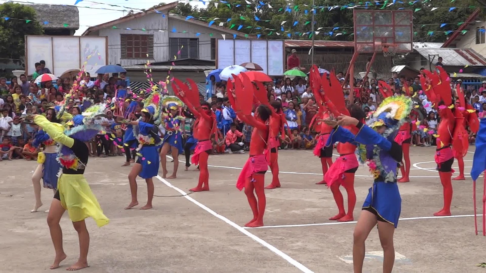 Under A Million Miles Of Sky: The Kinis Festival