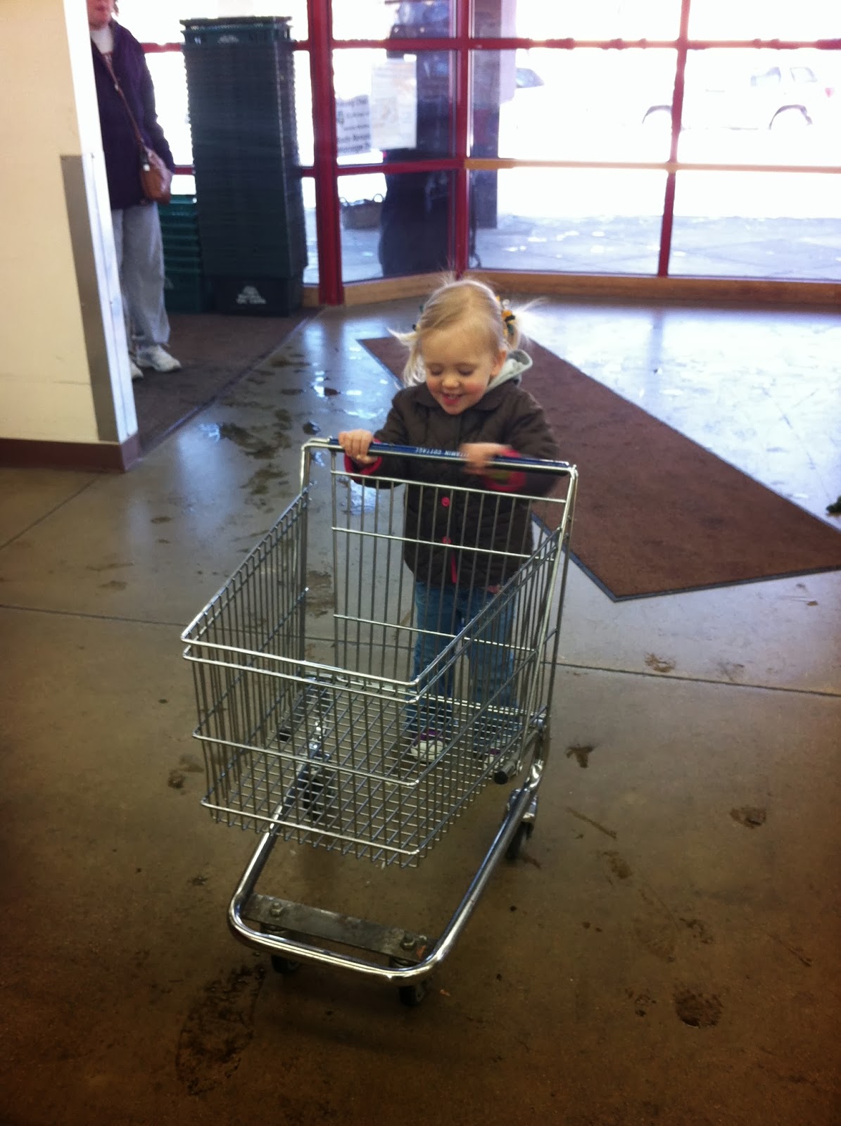 Berken Family: "Kid size carts, mom"