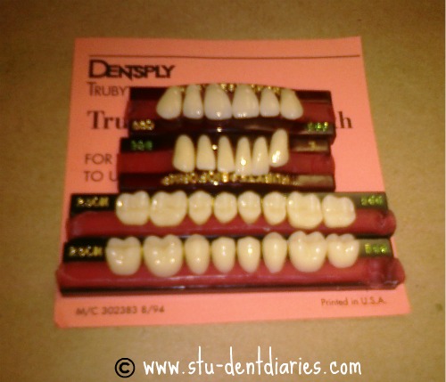 Stu-DENT Diaries: Custom Tray, Record Base and Wax Rim