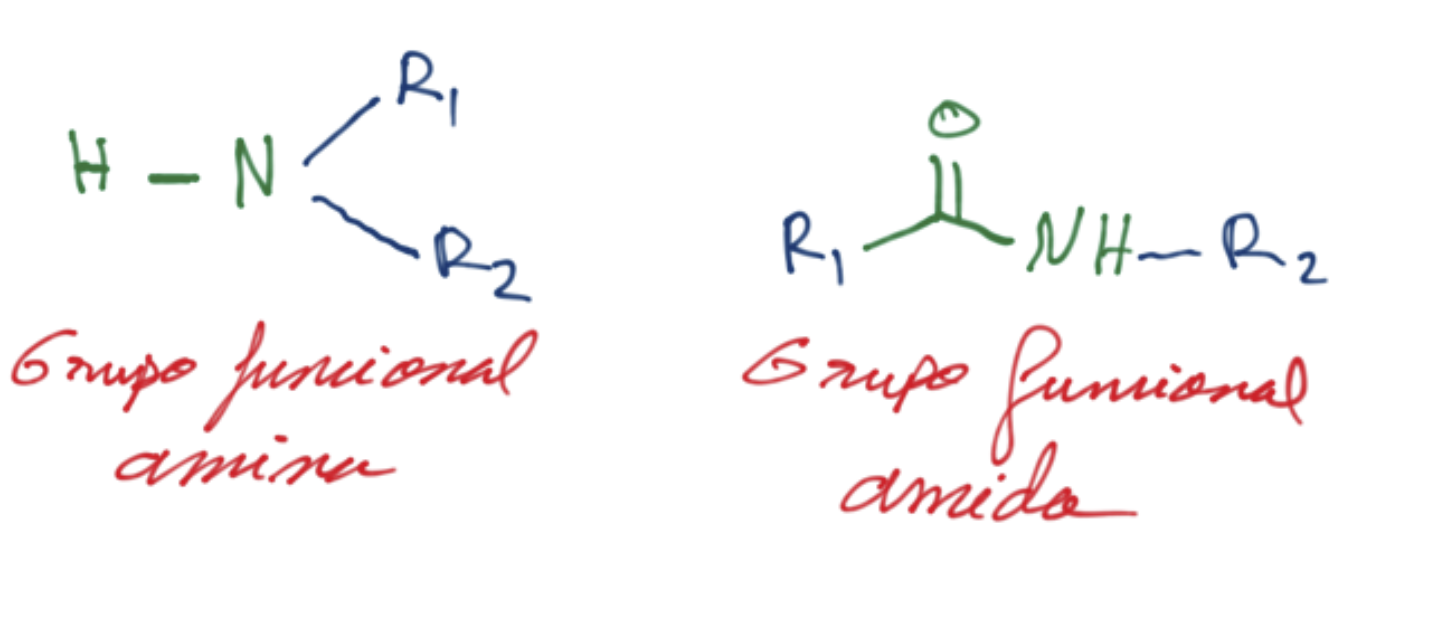 Bienvenidos a Descubrir La Química : Aminas y amidas