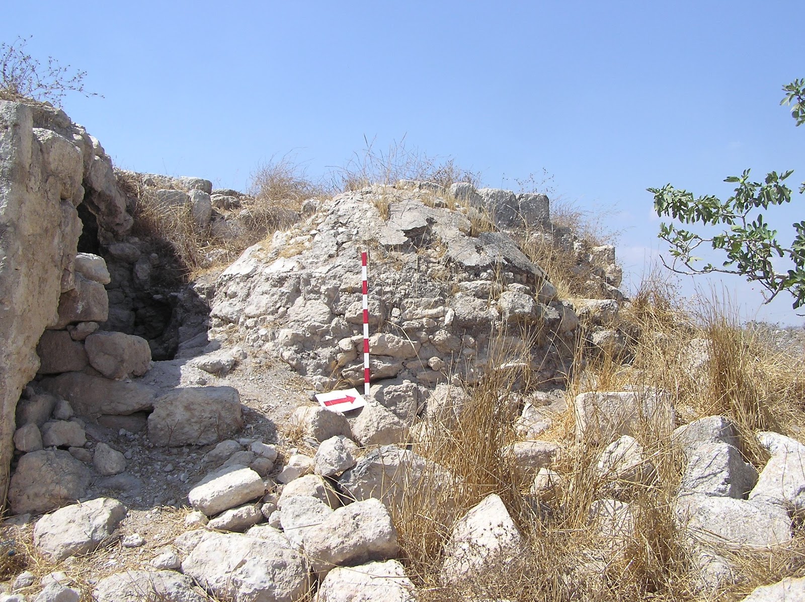 Muslim shrines in Israel: 4. Maqams. Shfela