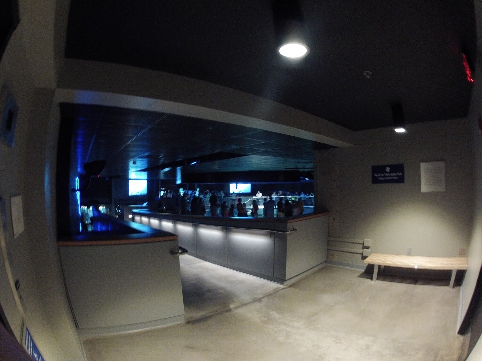 Giant Ocean Tank Divers Blog