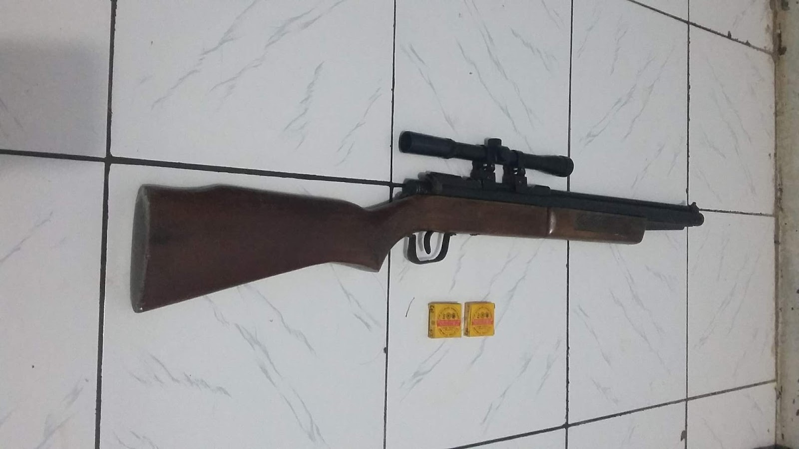 Beberapa Jenis Serta Tipe Senapan Angin Yang Biasanya Digunakan Dalam ...