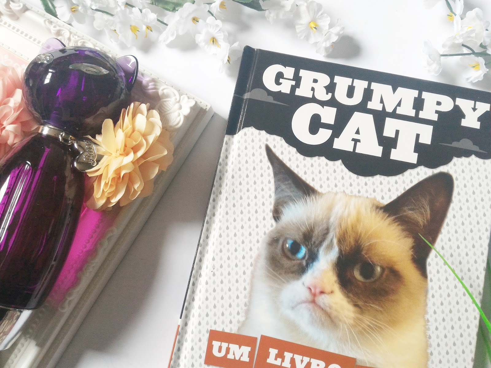 [Resenha #1145] Grumpy Cat - Um Livro Azedo @belasletras / Rotina Agridoce