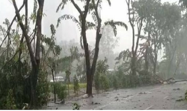 Makna Sebenarnya Mimpi Melihat Angin Kencang Dan Pohon Tumbang Menurut ... Makna Sebenarnya Mimpi Melihat Angin Kencang Dan Pohon Tumbang Menurut ...