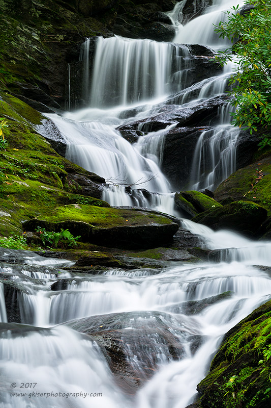 Greg Kiser Photography: Roaring Fork in the Fog
