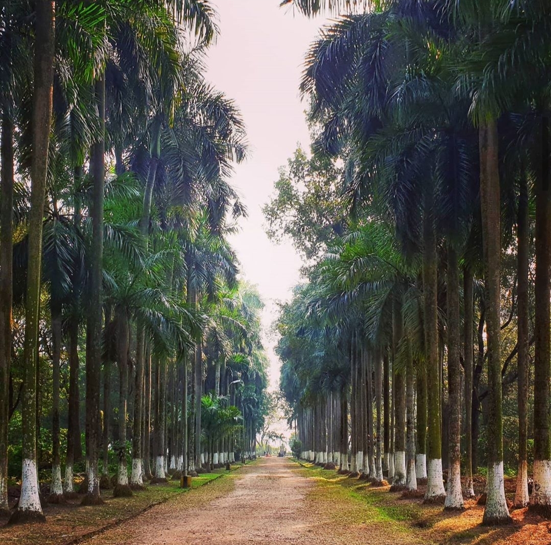 traveltourist: Top 50 Best tourist visiting place in kolkata | 2020